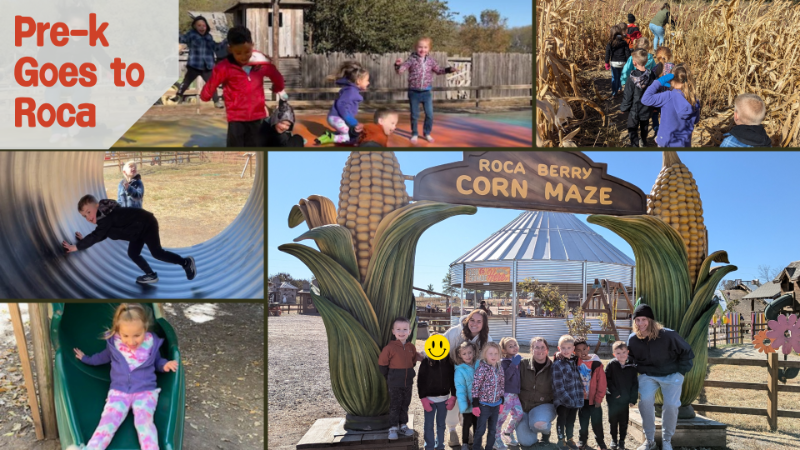 Willard Community Center - Pre-k Enjoys the Morning at Roca Berry Farm